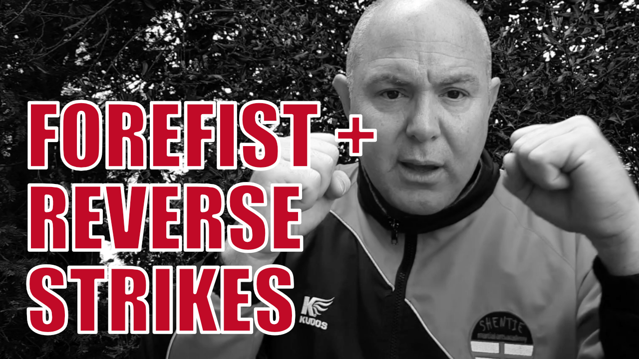 Forefist Strike Reverse Punch Masterclass – Shentie